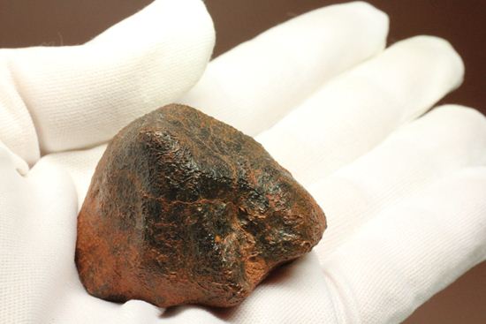 1960年10月オーストラリアに落下した隕石 ユークライト Polymict eucrite Millbillillie 隕石 販売